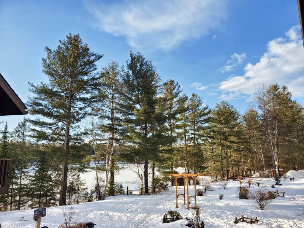 Winter 2022 Information Guide - Spring Lake Resort