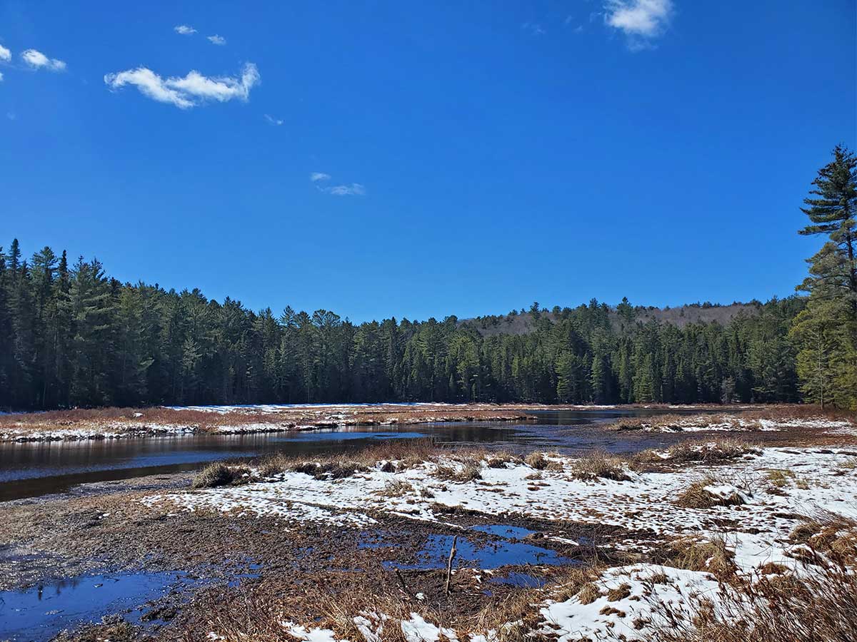 Explore Lake of Bays - Spring Lake Resort